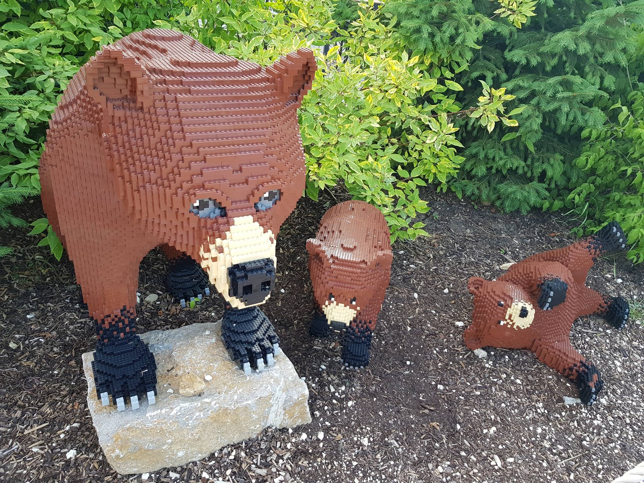 19549440_10213864628118648_939026801_o - Eva Herrera