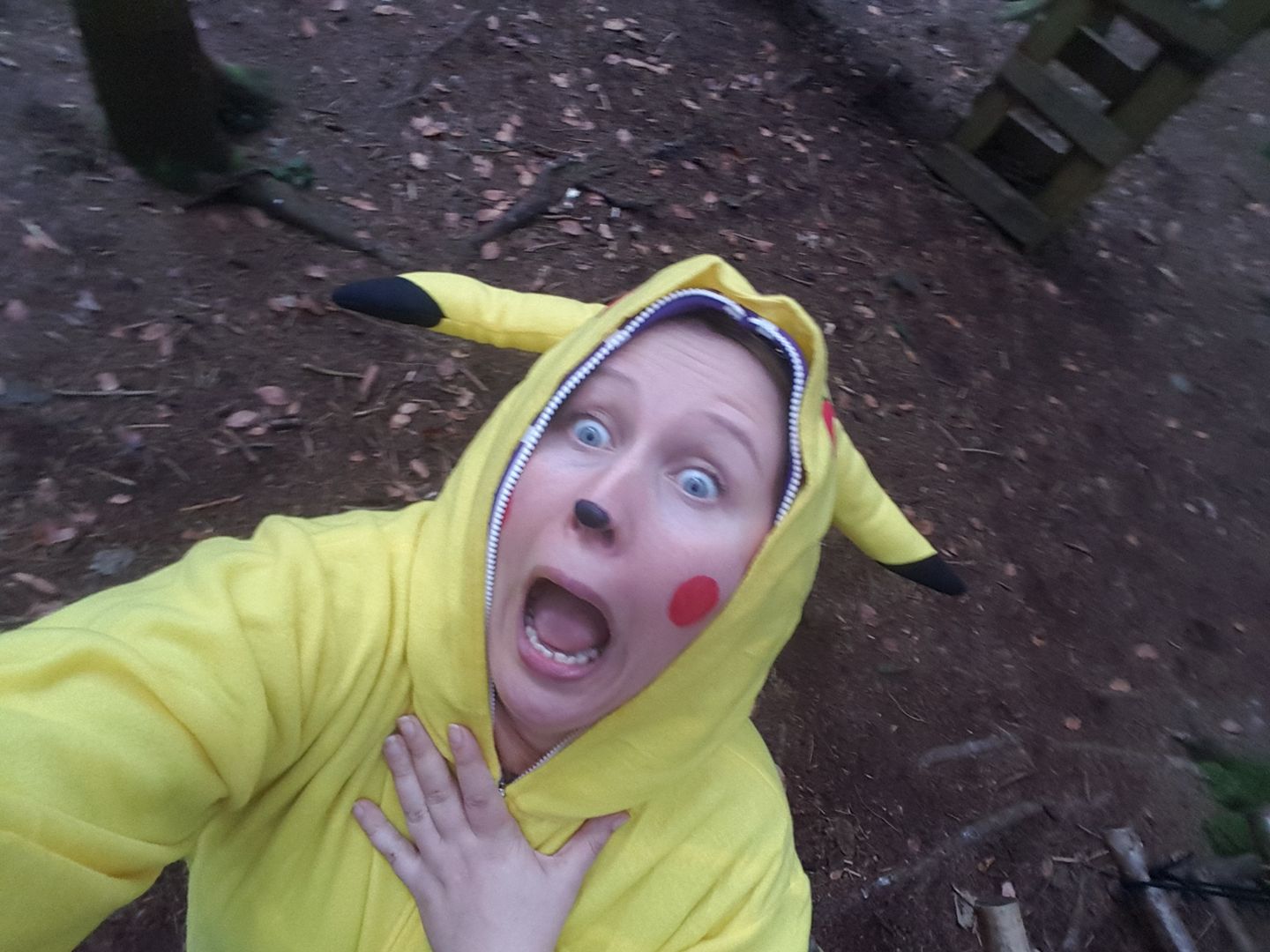 Kõrvad ehk elu on karneval - Eva Herrera