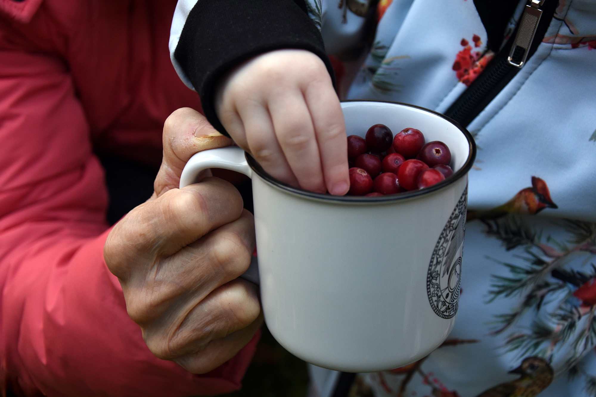 Traces - Eva Herrera